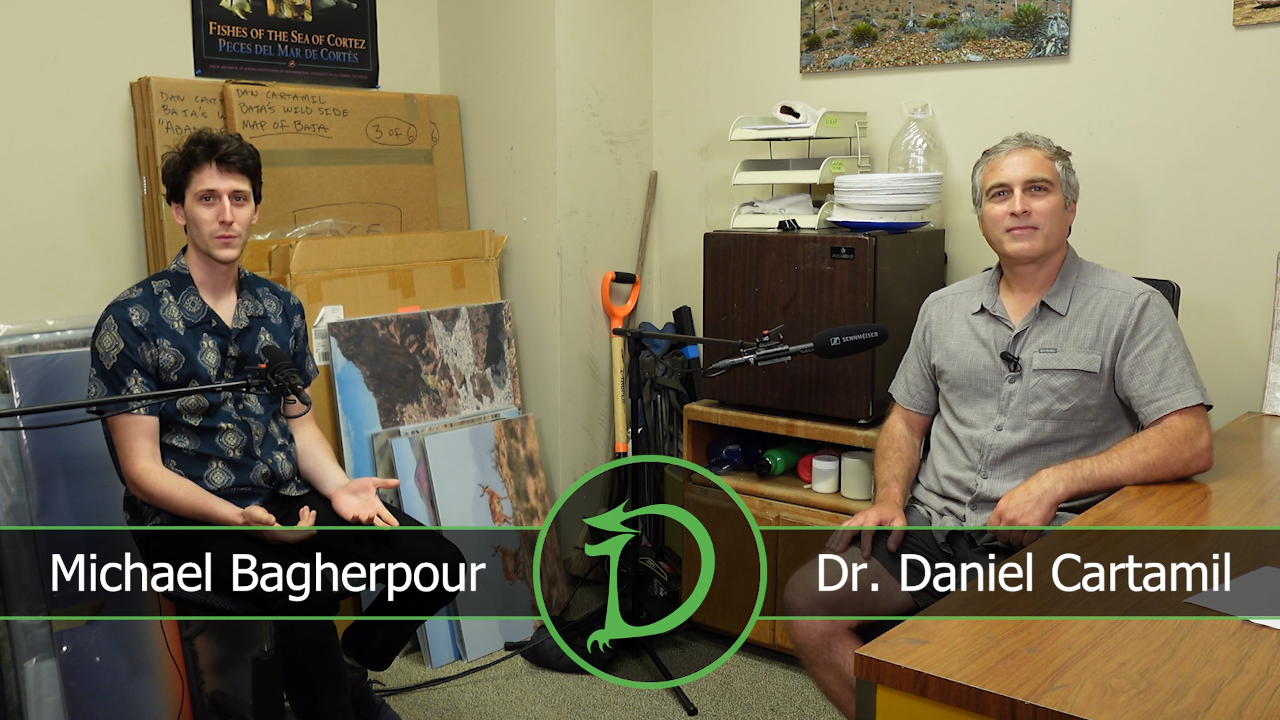 DragonSkin® Podcast: Dr. Dan Cartamil on Stingrays